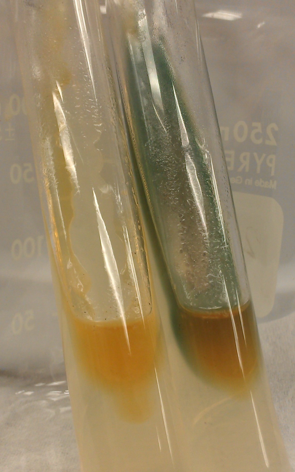 Biology Slides | Mat-Su College